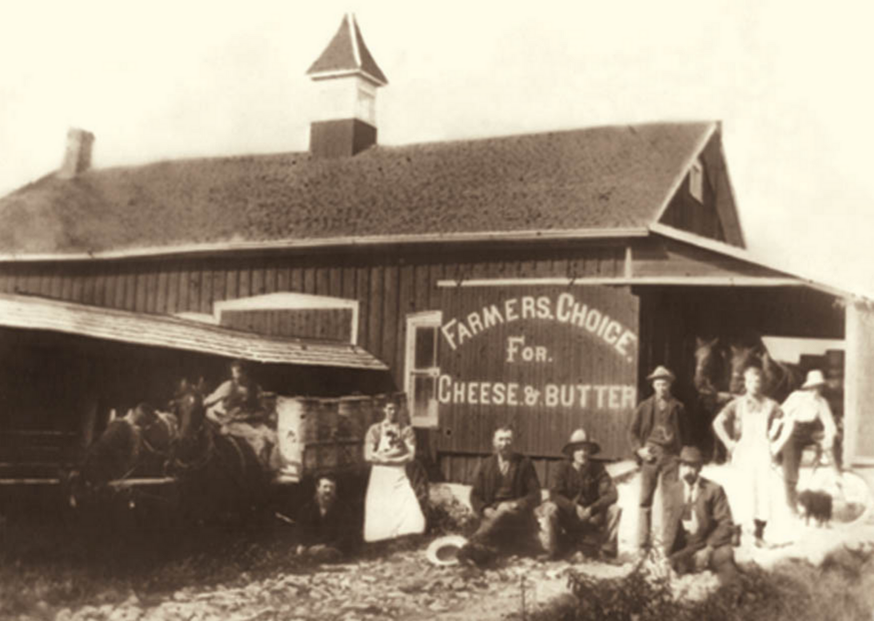 A.M. Jensen Limited - Handmade, Artisanal Cheeses– Jensen Cheese