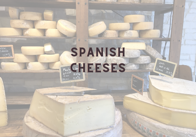 Spanish Cheeses– Jensen Cheese